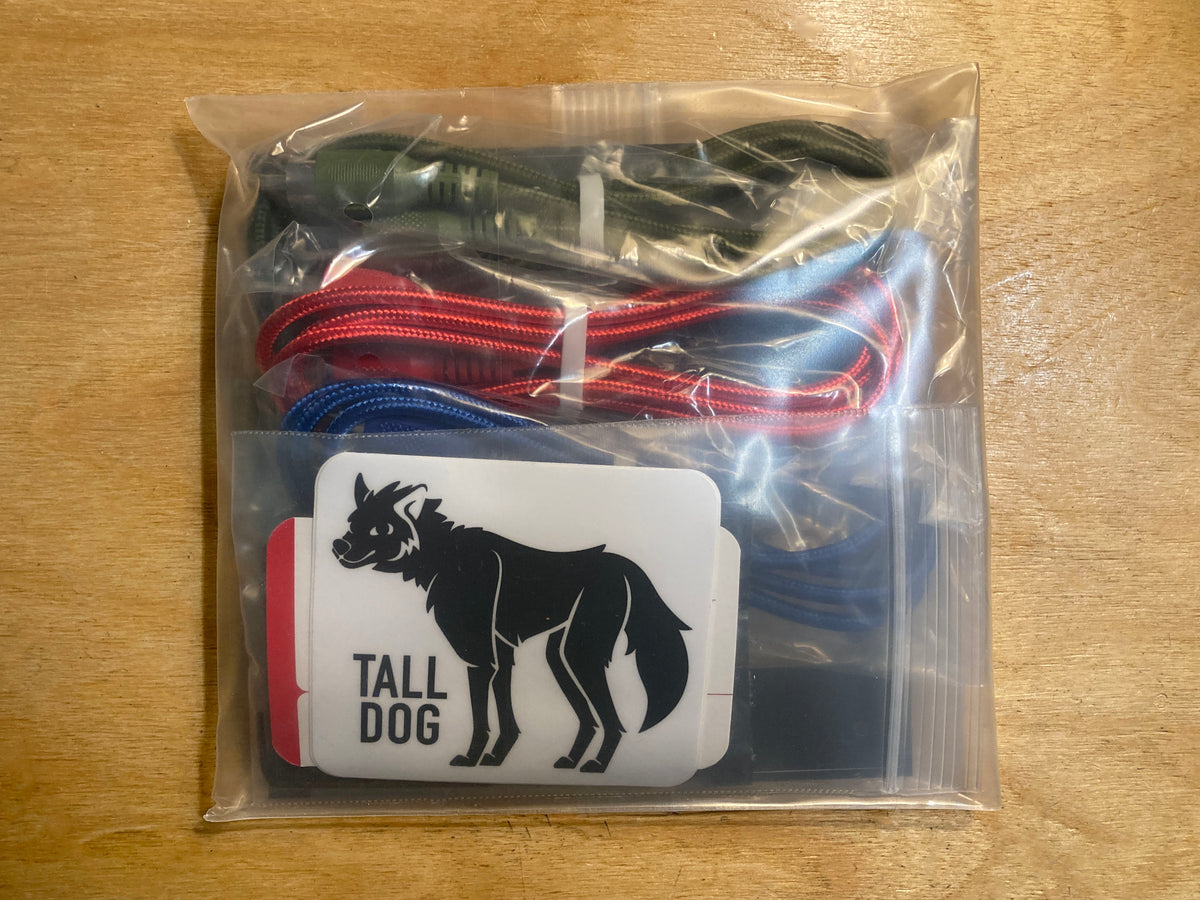 TinyNES RGB Video Kit – Tall Dog Electronics
